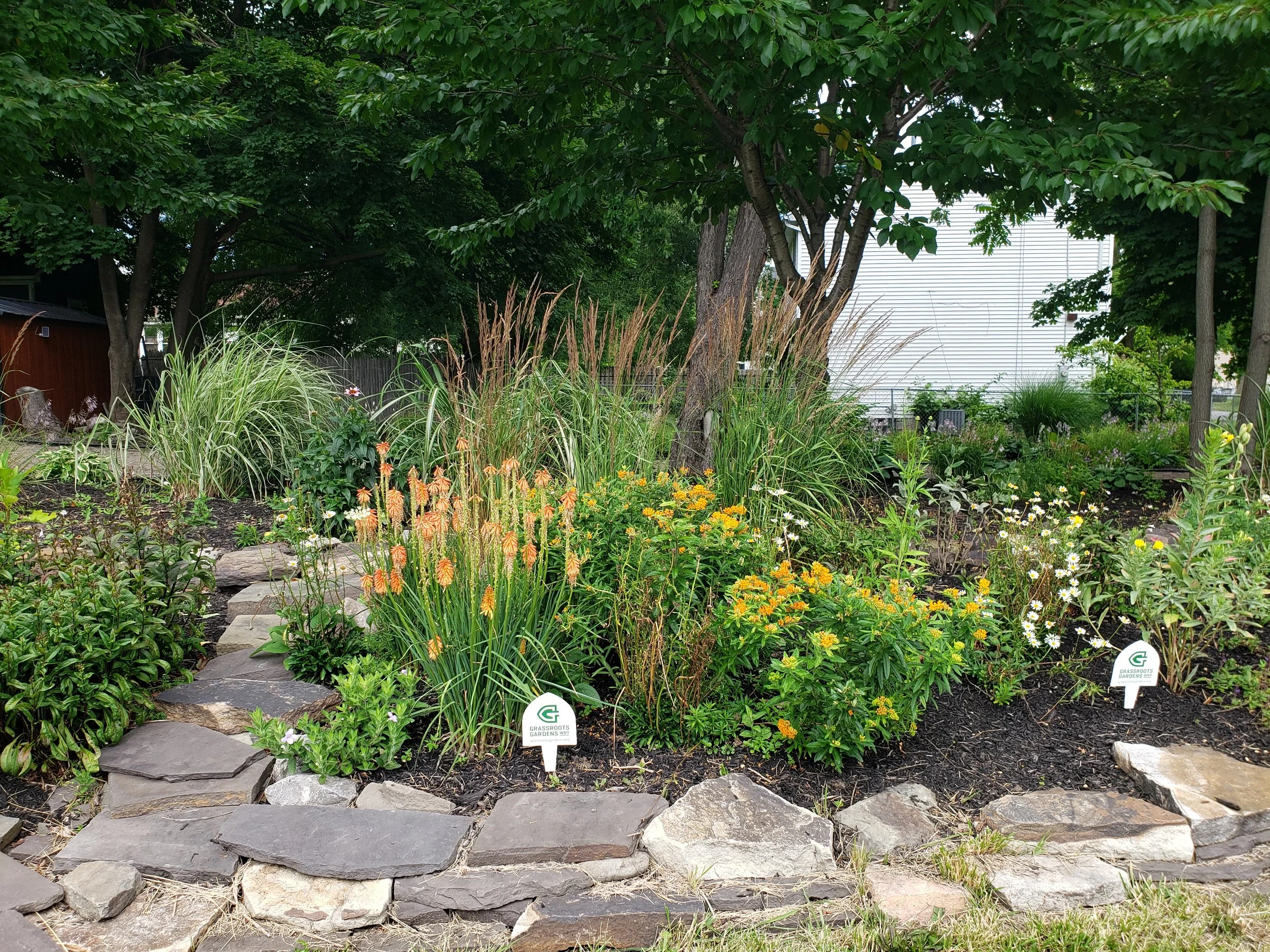 Lunenfeld Grant Photos — Gardens Buffalo Niagara