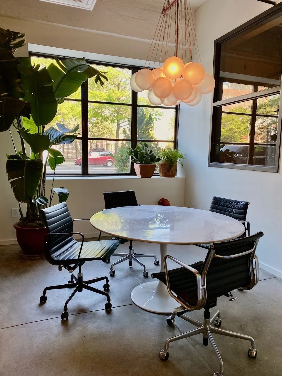 The Harlem Collective