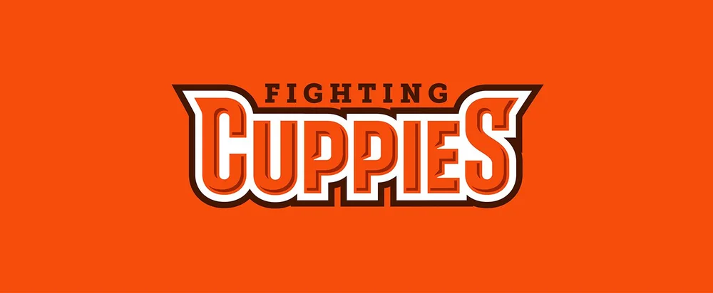 Reese’s University Campaign Development - Campaign Identity & Packaging ...