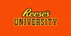 Reese’s University Campaign Development - Campaign Identity & Packaging ...