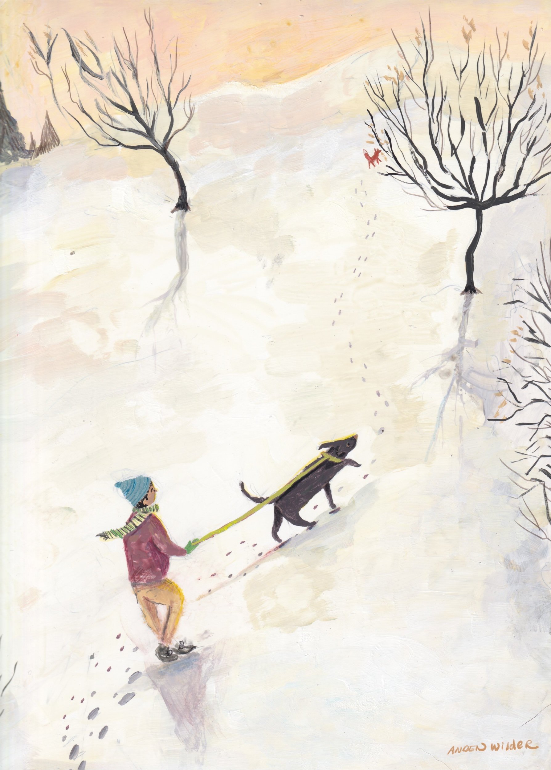 Anden Wilder