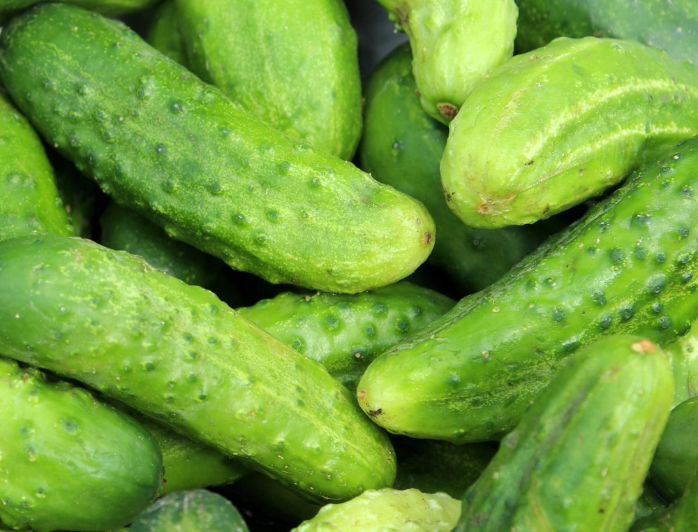 Kegel's Produce — Wholesale Fruit & Vegetables