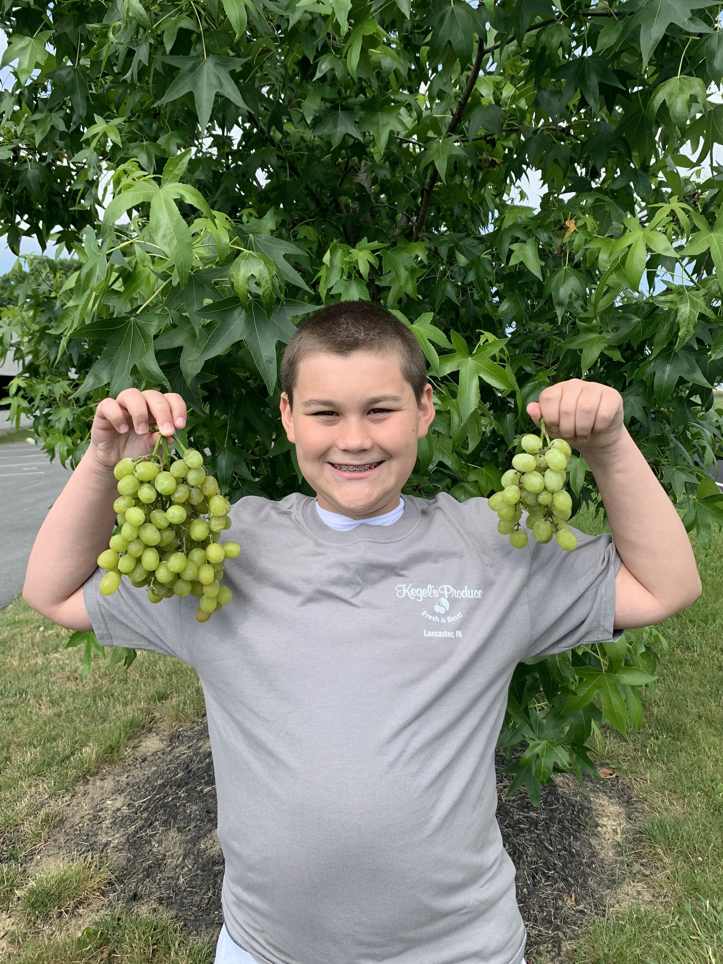 Kegel's Produce — Wholesale Fruit & Vegetables