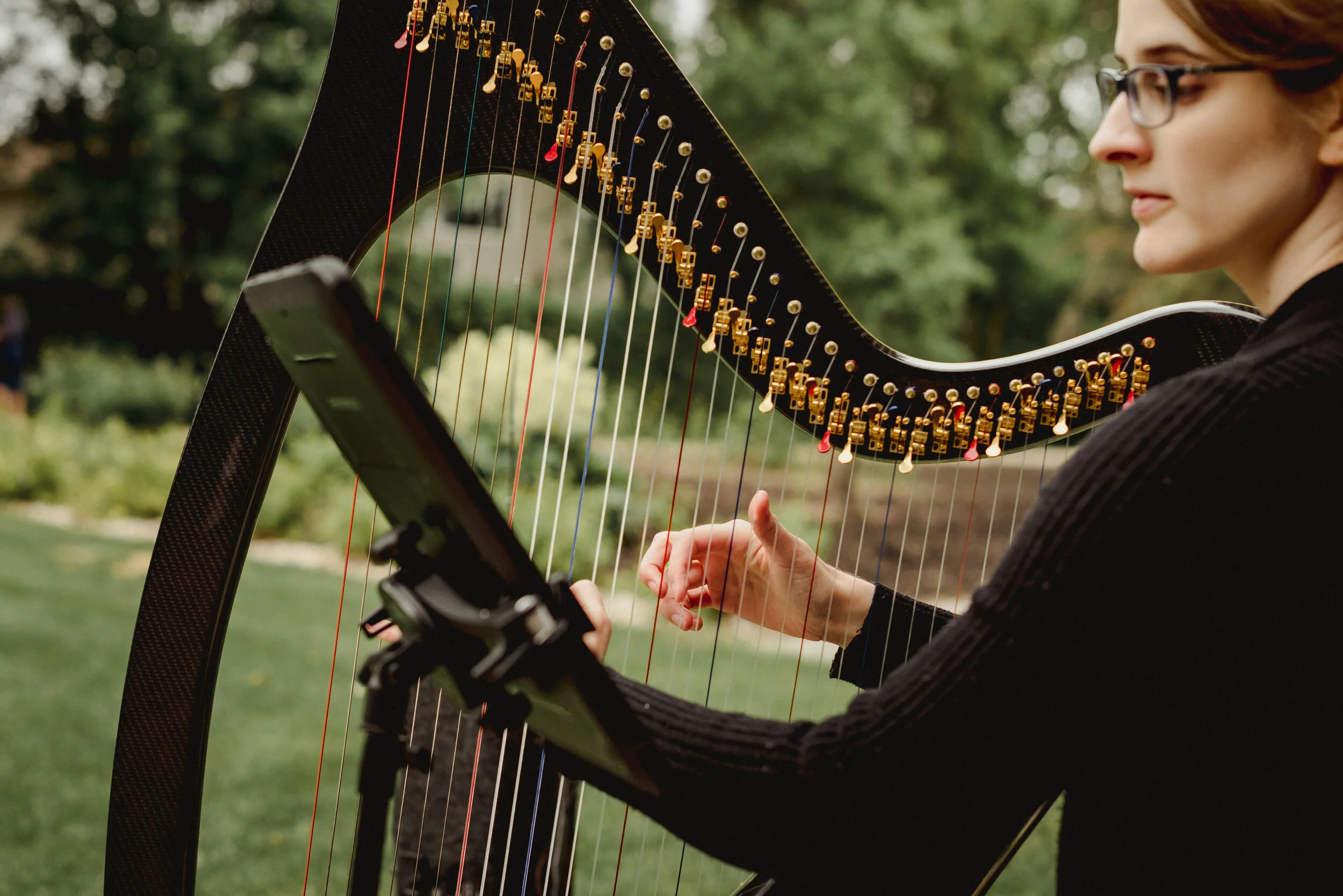 Samantha Ballard, Harp