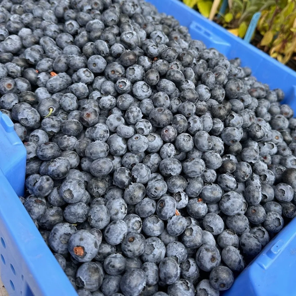 2025 Vendors — Poulsbo Farmers Market