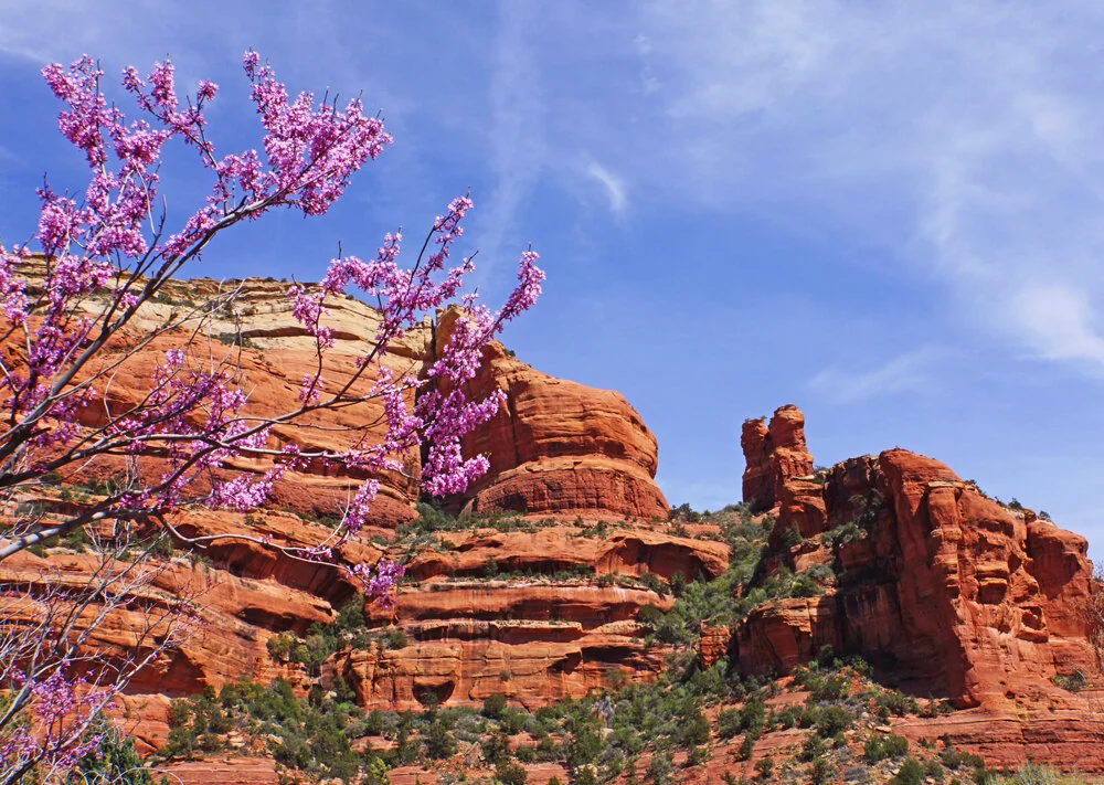 Spring Equinox Sedona — White Light Sounds