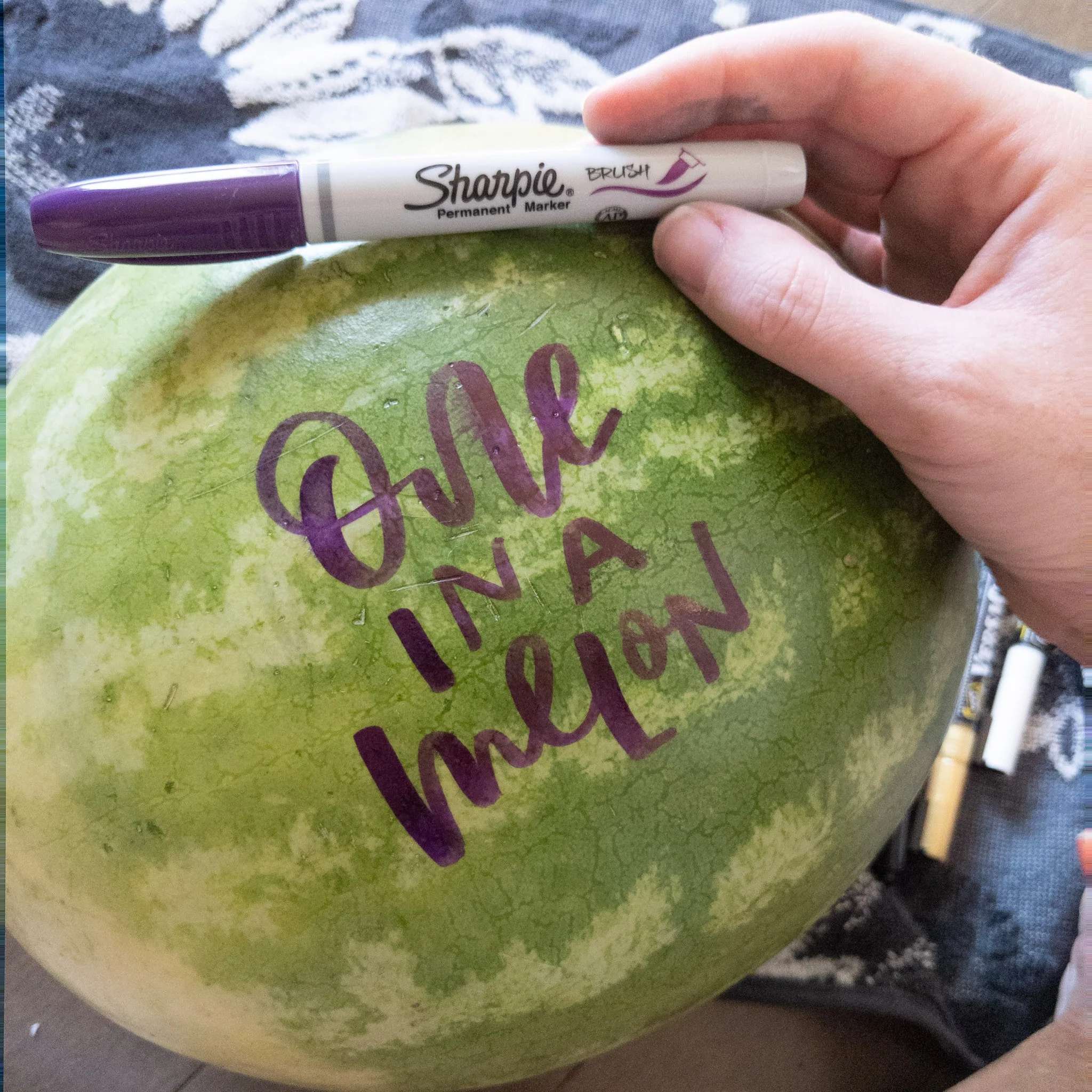 I Could Write On That: Watermelon Edition — Hoopla! Letters