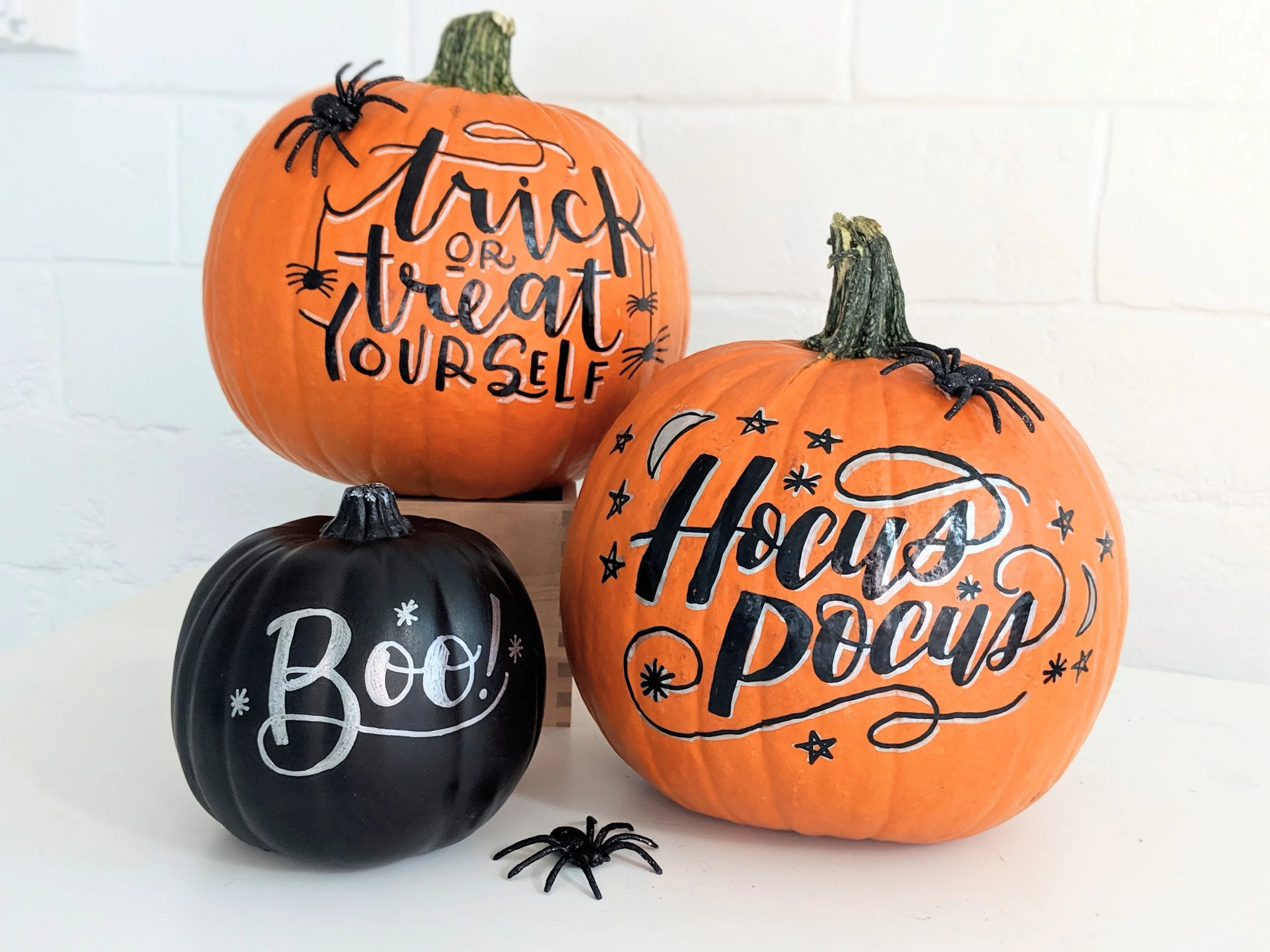#Throwback: How to Create a Calligraphy Pumpkin — Hoopla! Letters
