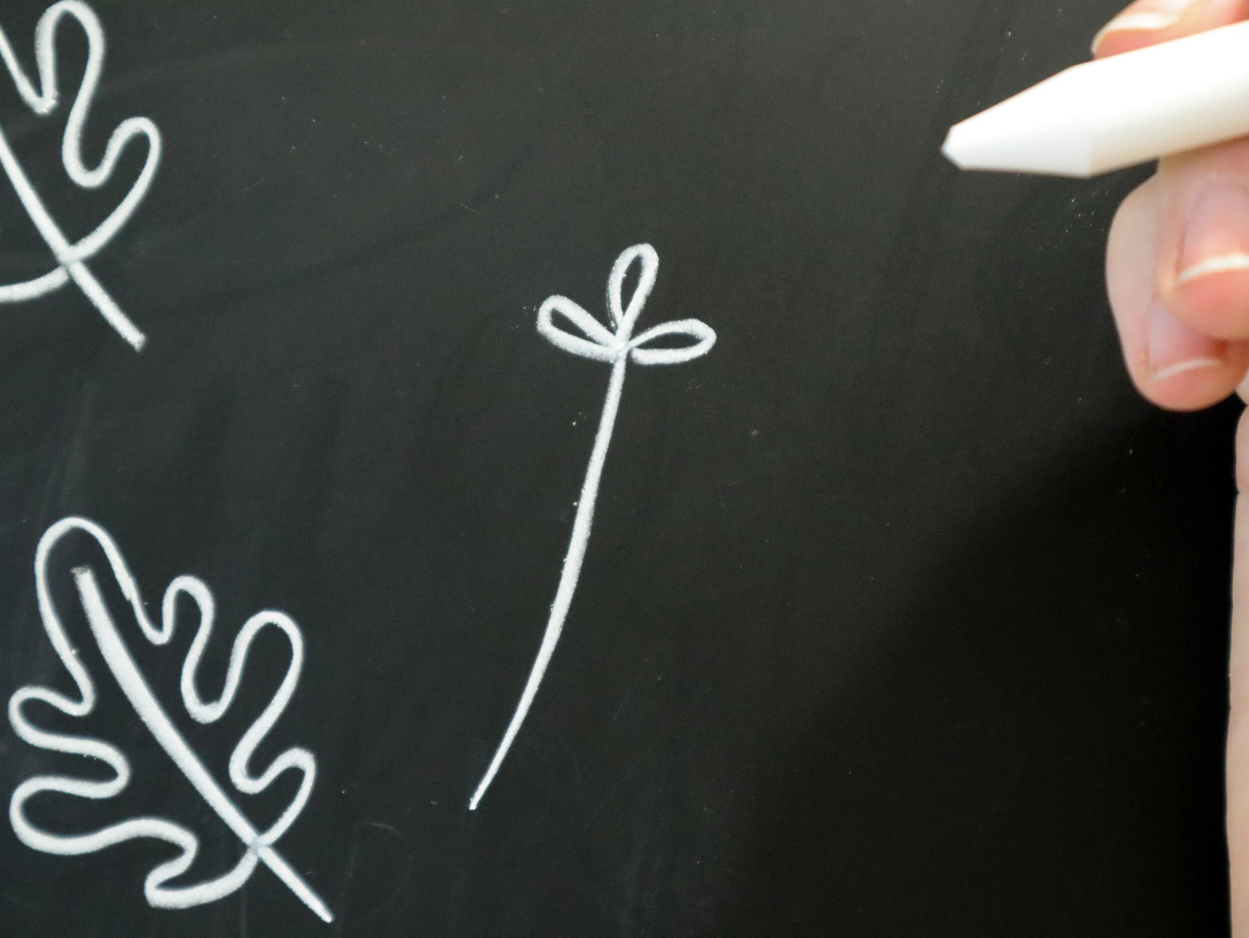 TUTORIAL: Thanksgiving Doodle Wreath Chalkboard — Hoopla! Letters