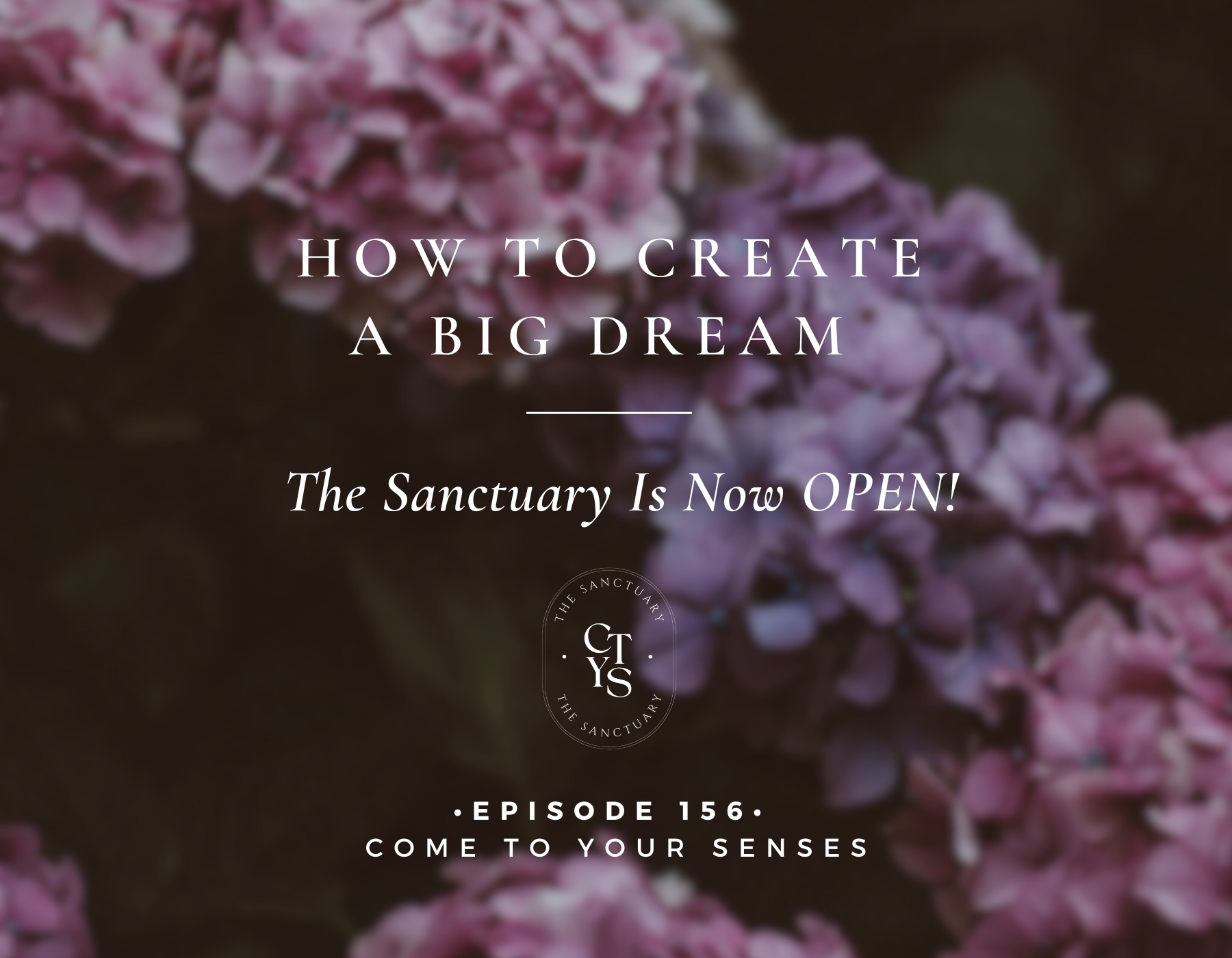 Episode 156 - How To Create A Big Dream: The Sanctuary Is OPEN! — MARY ...