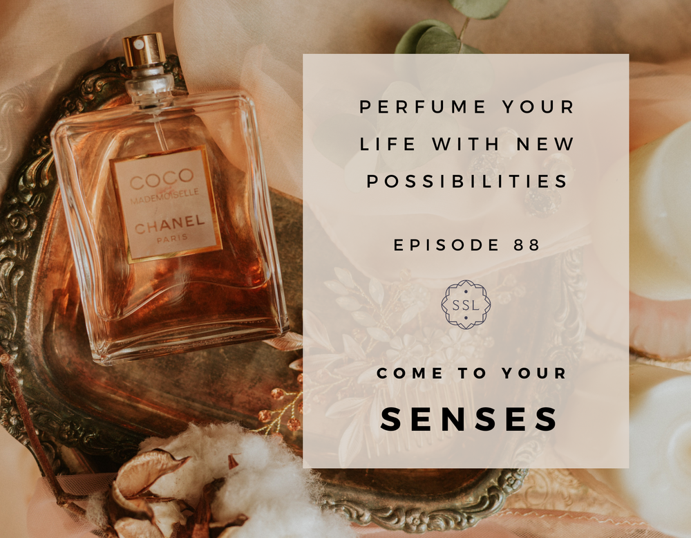 Episode 88 - Perfume Your Life with New Possibilities — MARY LOFGREN