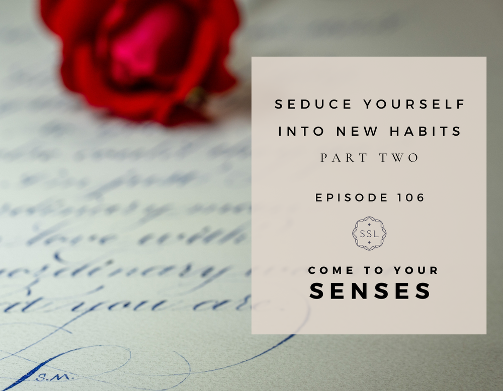 Episode 106 - Seduce Yourself Into New Habits - Part Two — MARY LOFGREN