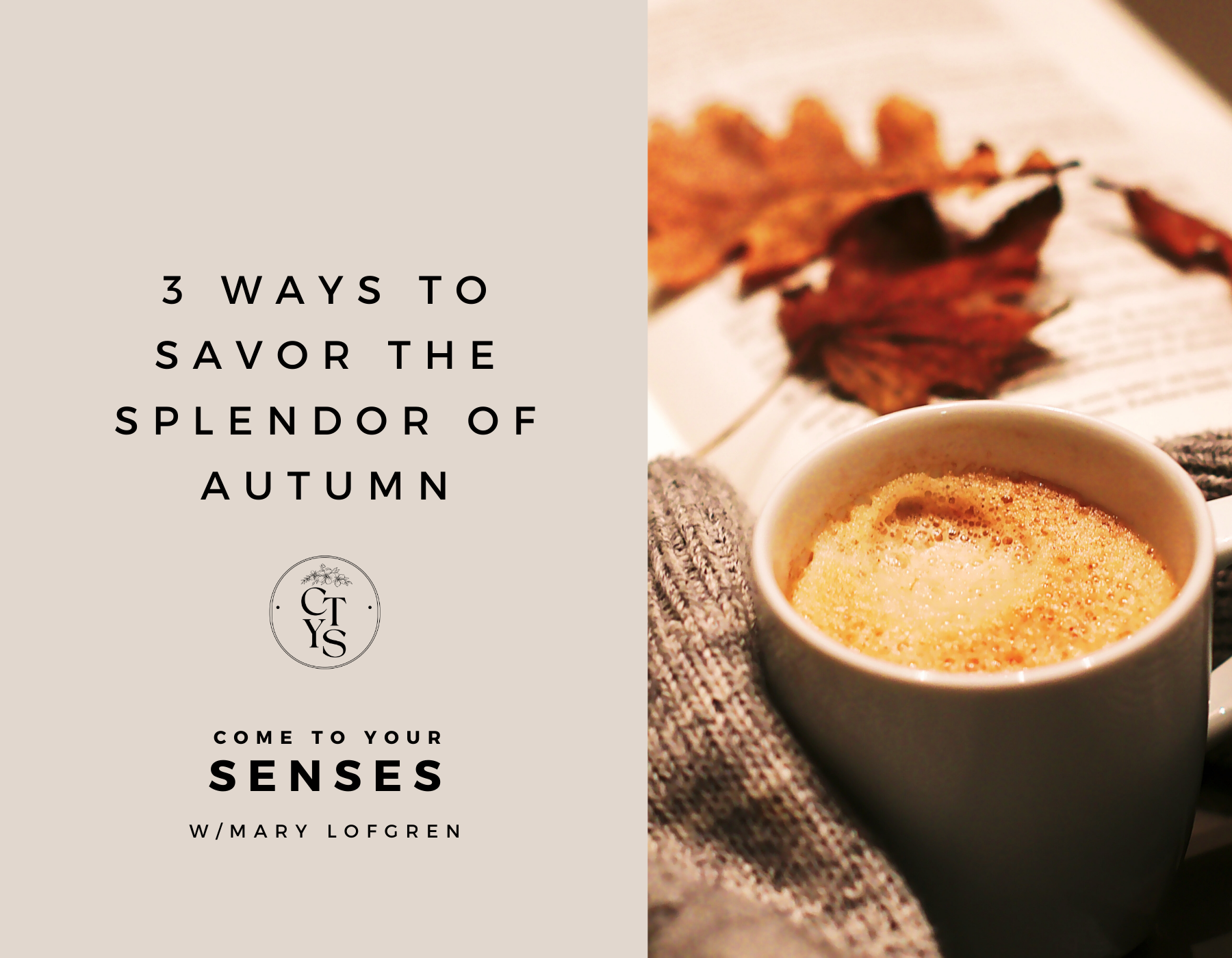 Three Ways to Savor The Splendor of Autumn — Mary Lofgren