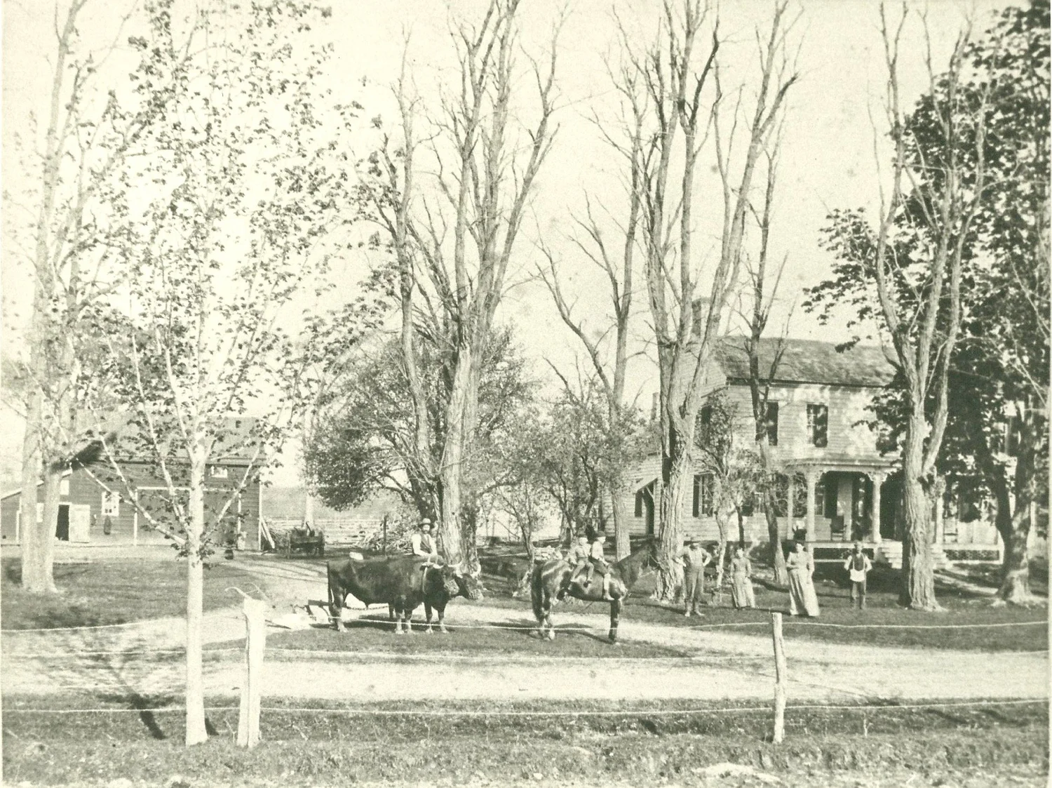 Archives Update — Historic Red Hook