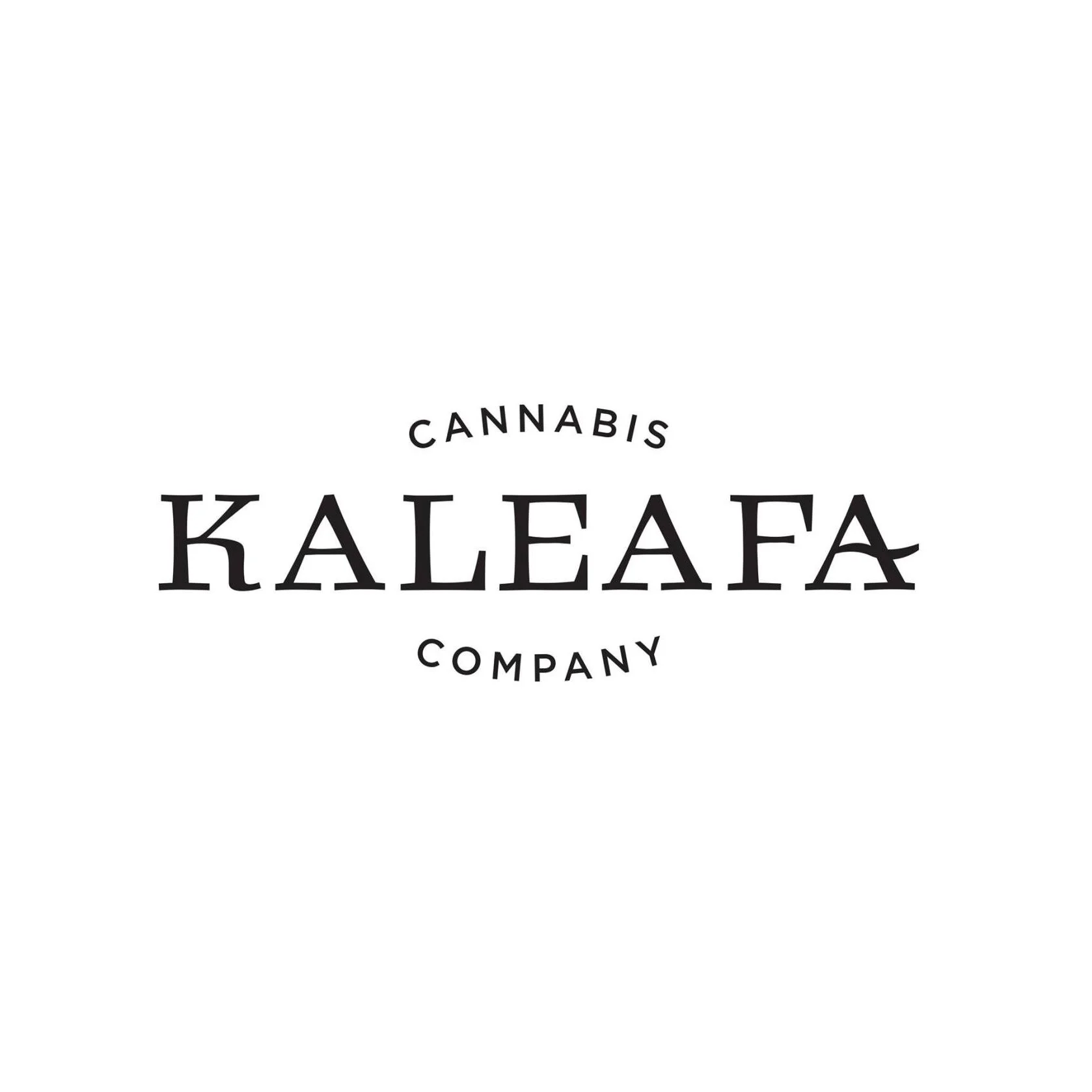 PORTFOLIO — Lago Innovation Fund