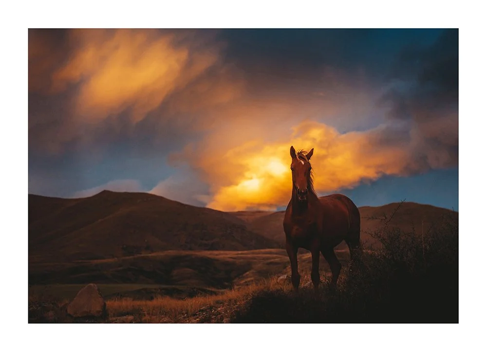 art store — CHLOE LODGE