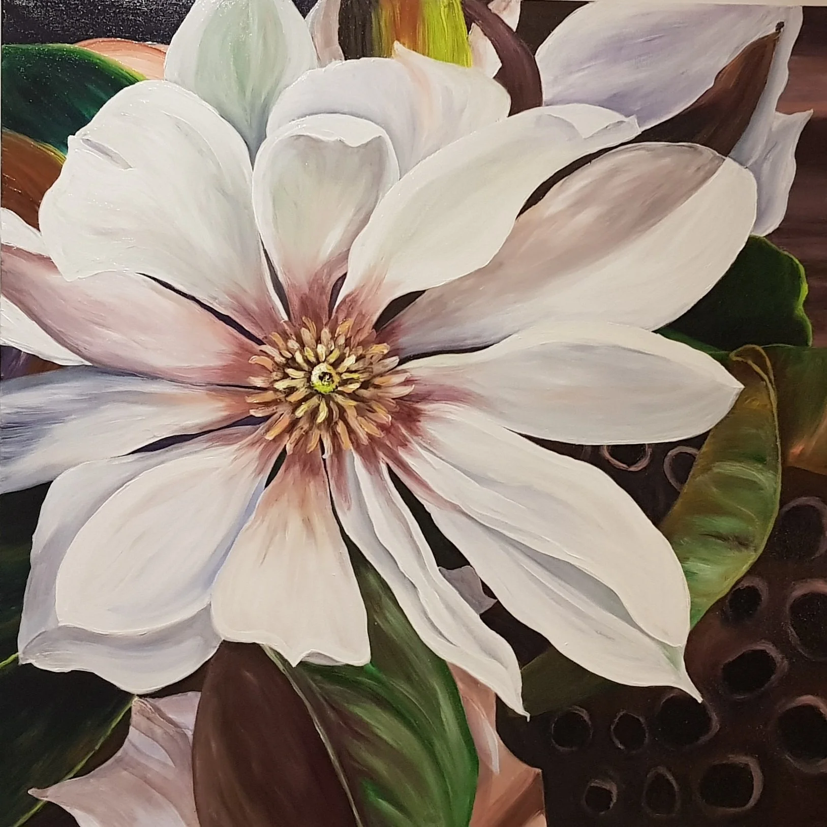 Member Artists — Yarra Valley Arts