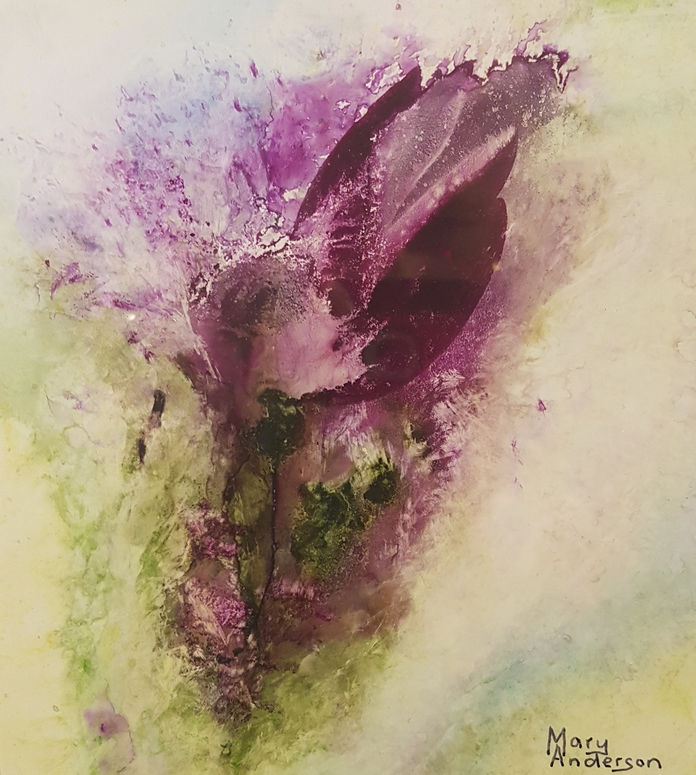 Mary Anderson — Yarra Valley Arts