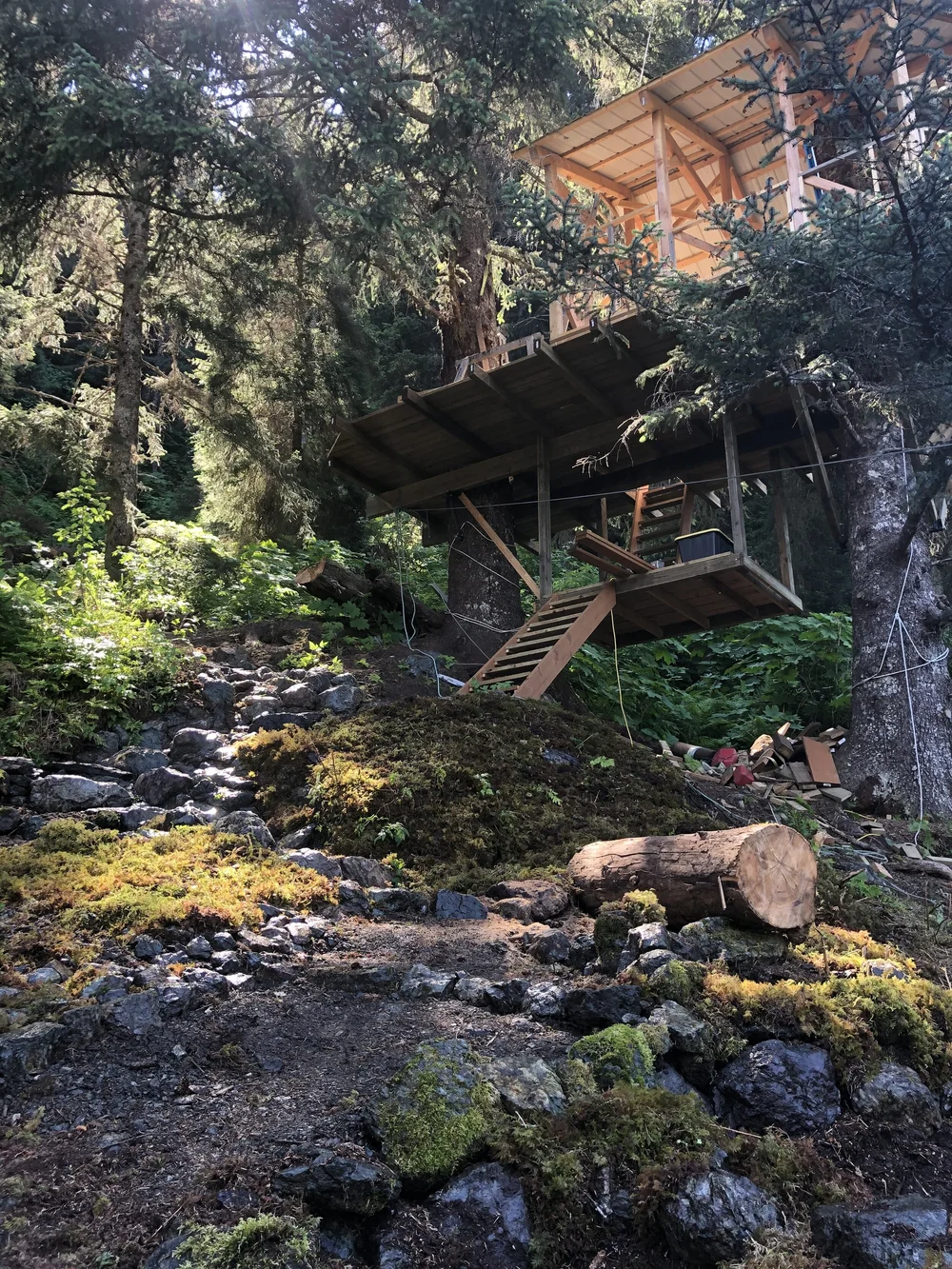 Private Alaska Treehouse Rental — Treehouse Cove Lodge