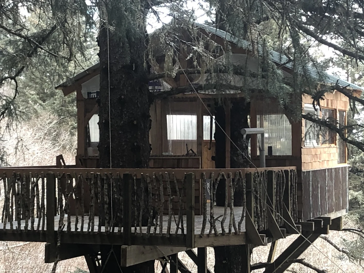 Private Alaska Treehouse Rental — Treehouse Cove Lodge