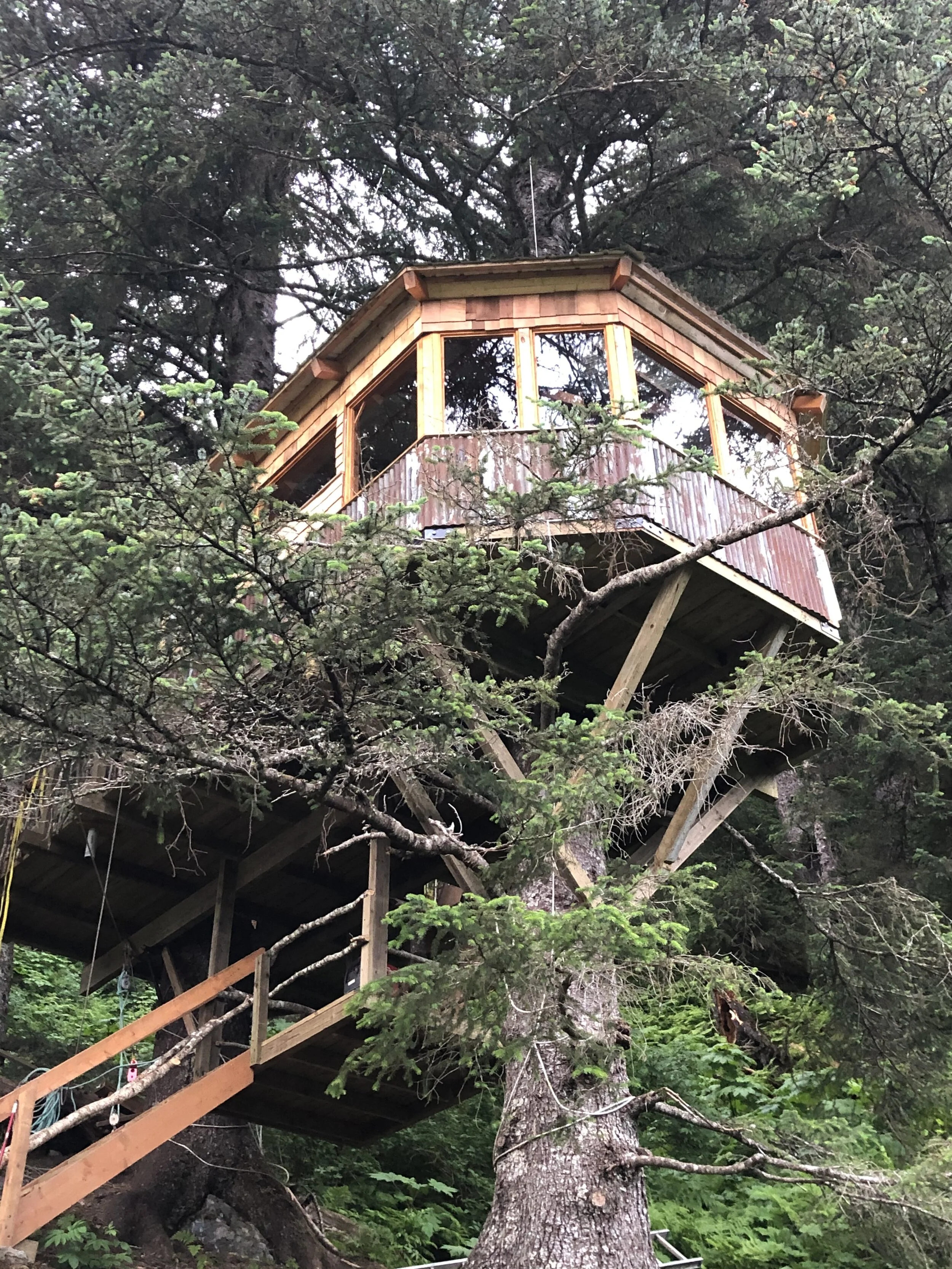 Private Alaska Treehouse Rental — Treehouse Cove Lodge