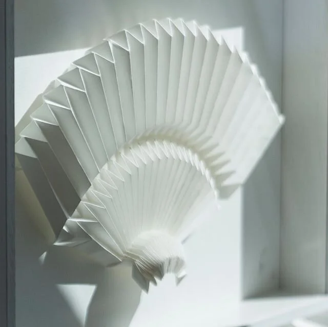 Co-lab — Amanda Betz