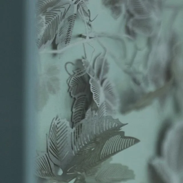 Co-lab — Amanda Betz