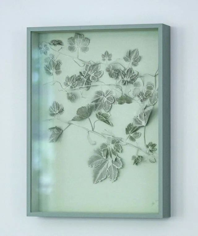 Co-lab — Amanda Betz