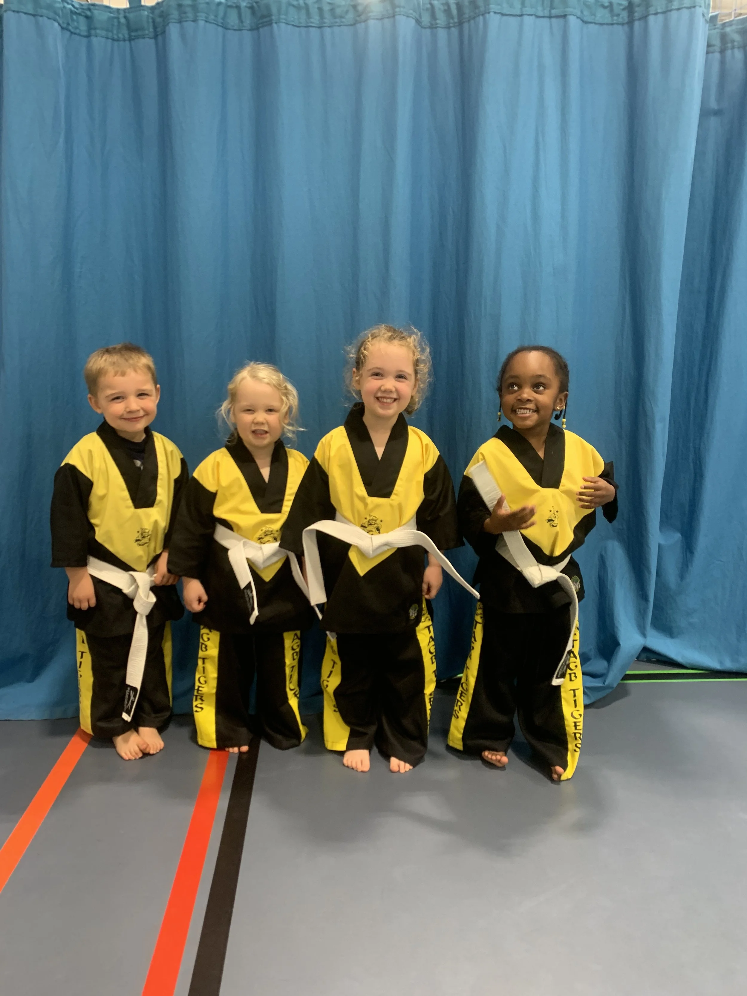 Martial Arts Training Classes | Martial Arts Instructor | P4TKD