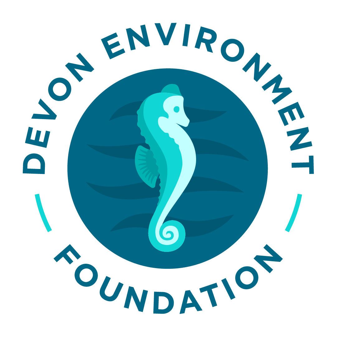 About us — Earth Action North Devon