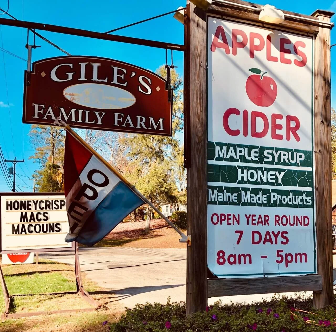 The Apple Tradition in Alfred — Maine Features