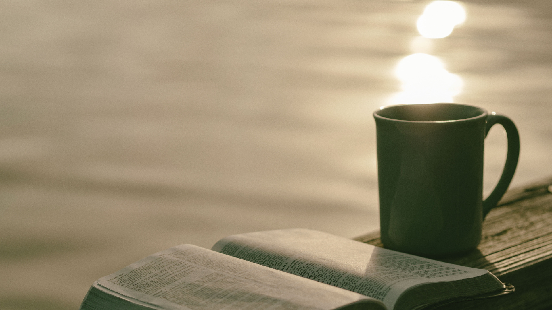 Bible Studies — Bay Farm Church
