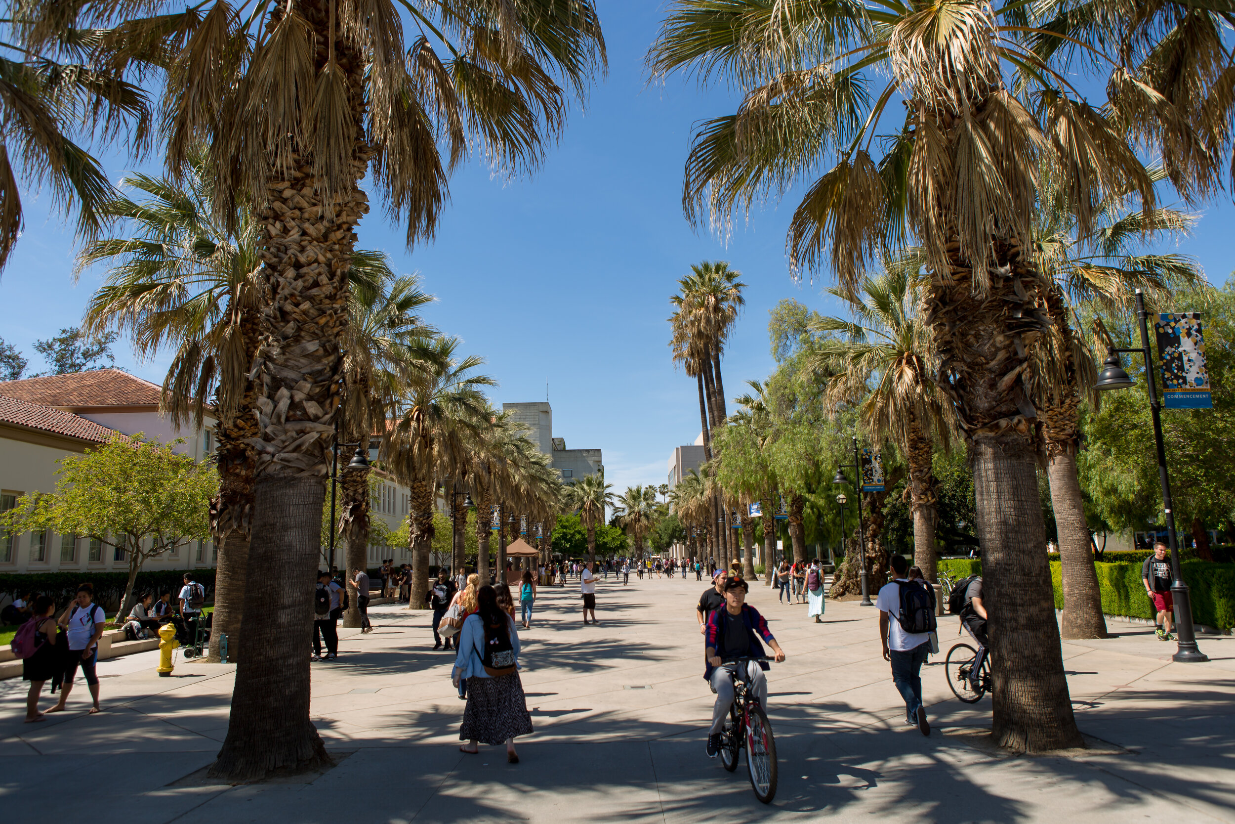 MESA College Prep Program - SJSU