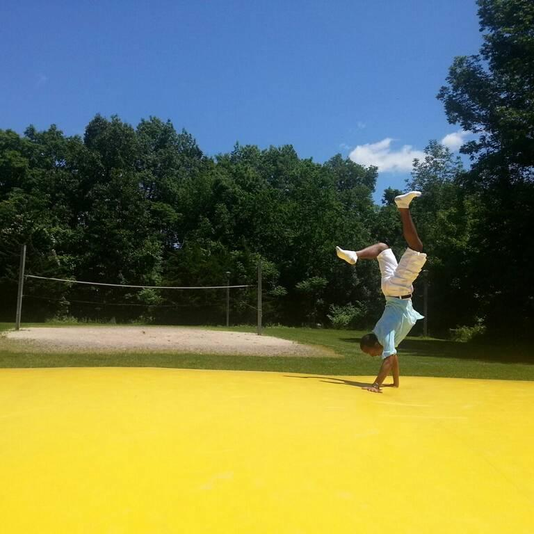 Gallery — Dr. Roger Ball