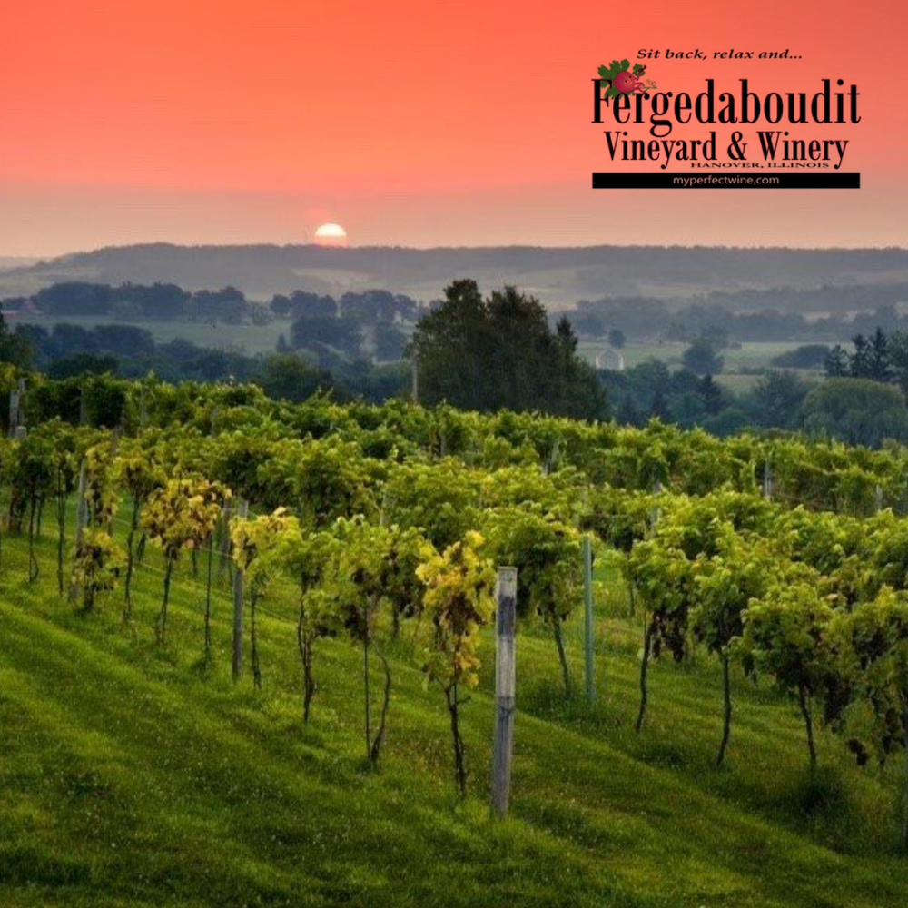 More Adventures — HOOF IT GOAT TREKS - Hike with goats in Galena, IL