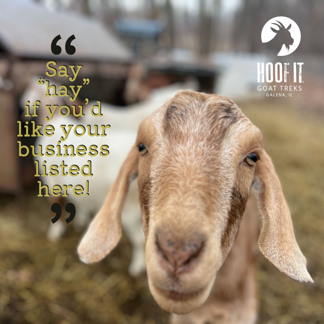 More Adventures — HOOF IT GOAT TREKS - Hike with goats in Galena, IL
