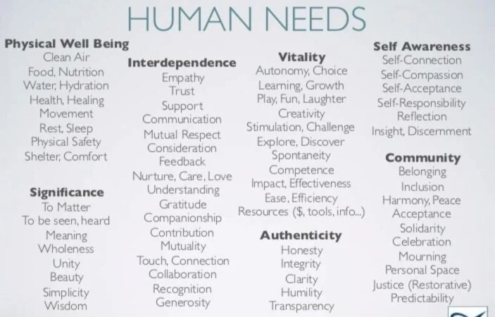 Appropriate Cultural Development - Needs vs. Satisfiers — WELLKIND