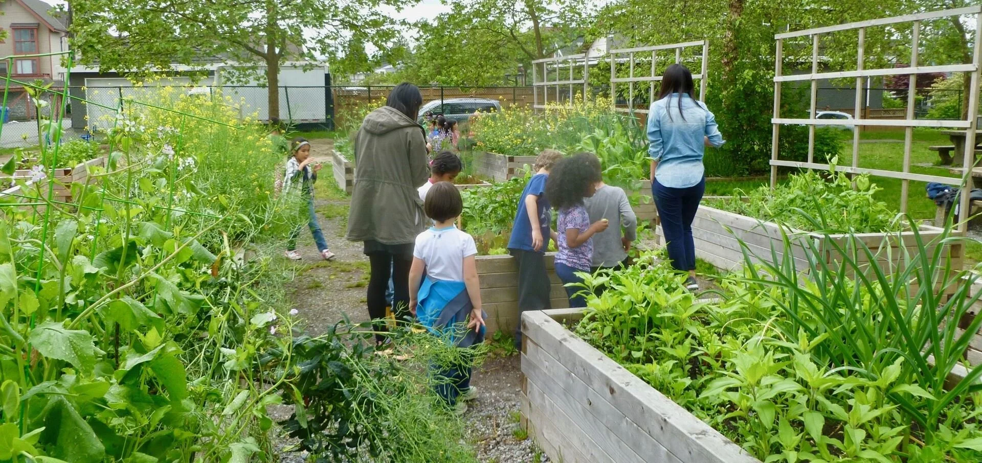 Why Outdoor and Garden Education Matters — WELLKIND