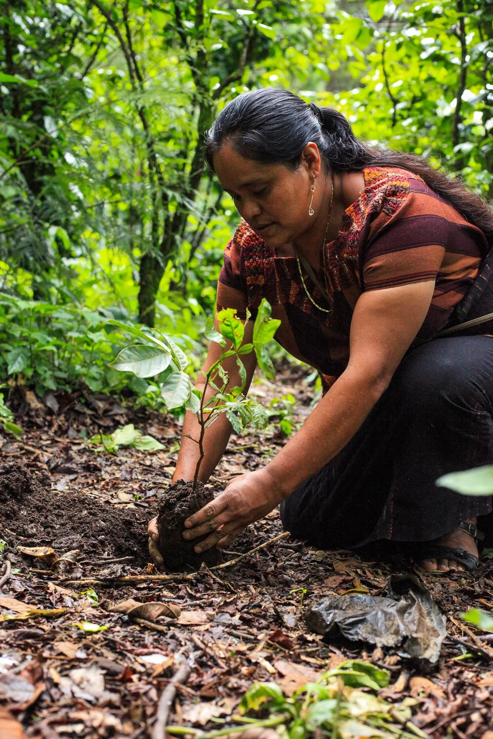 WellKind - The Future is Well