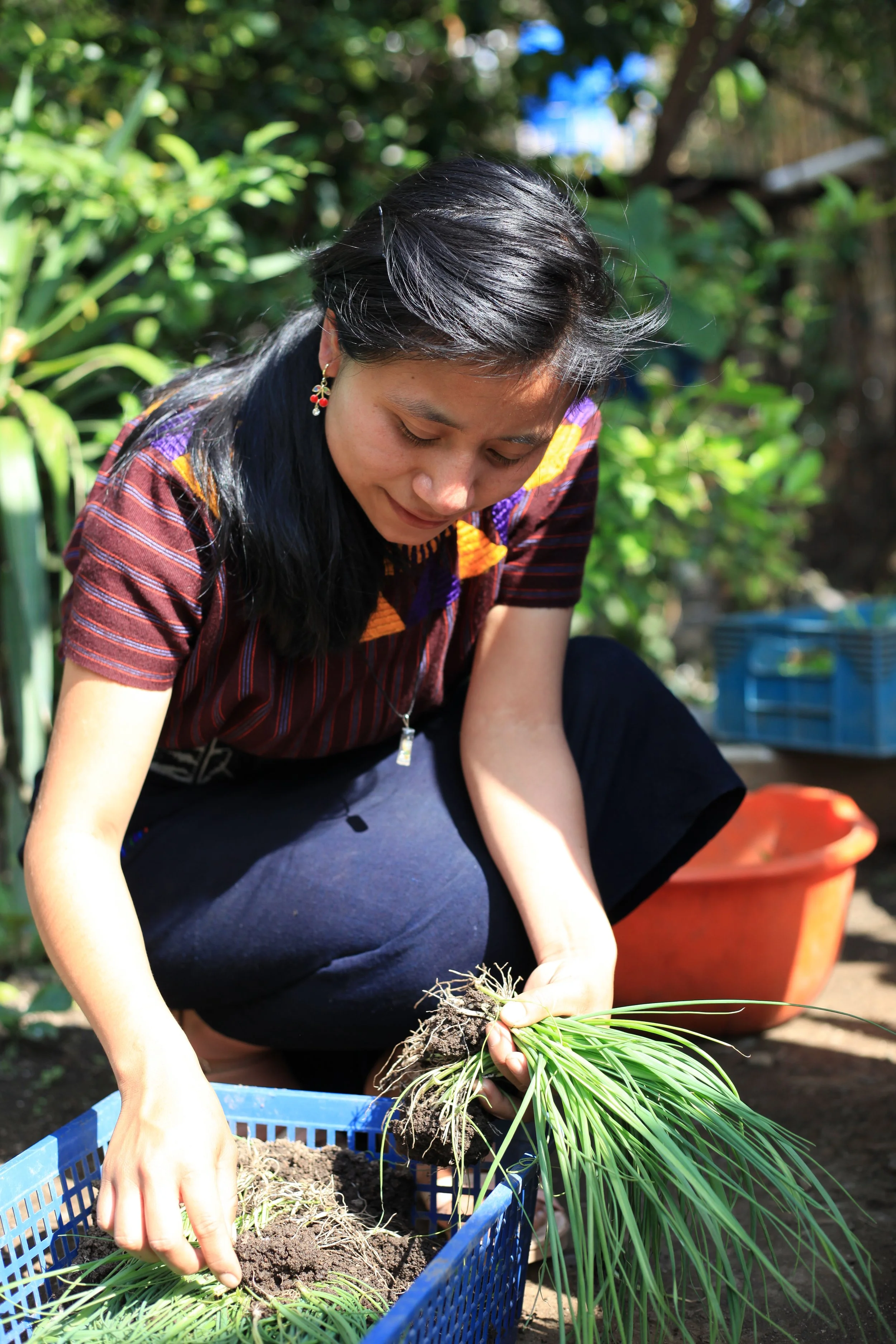 WellKind - The Future is Well