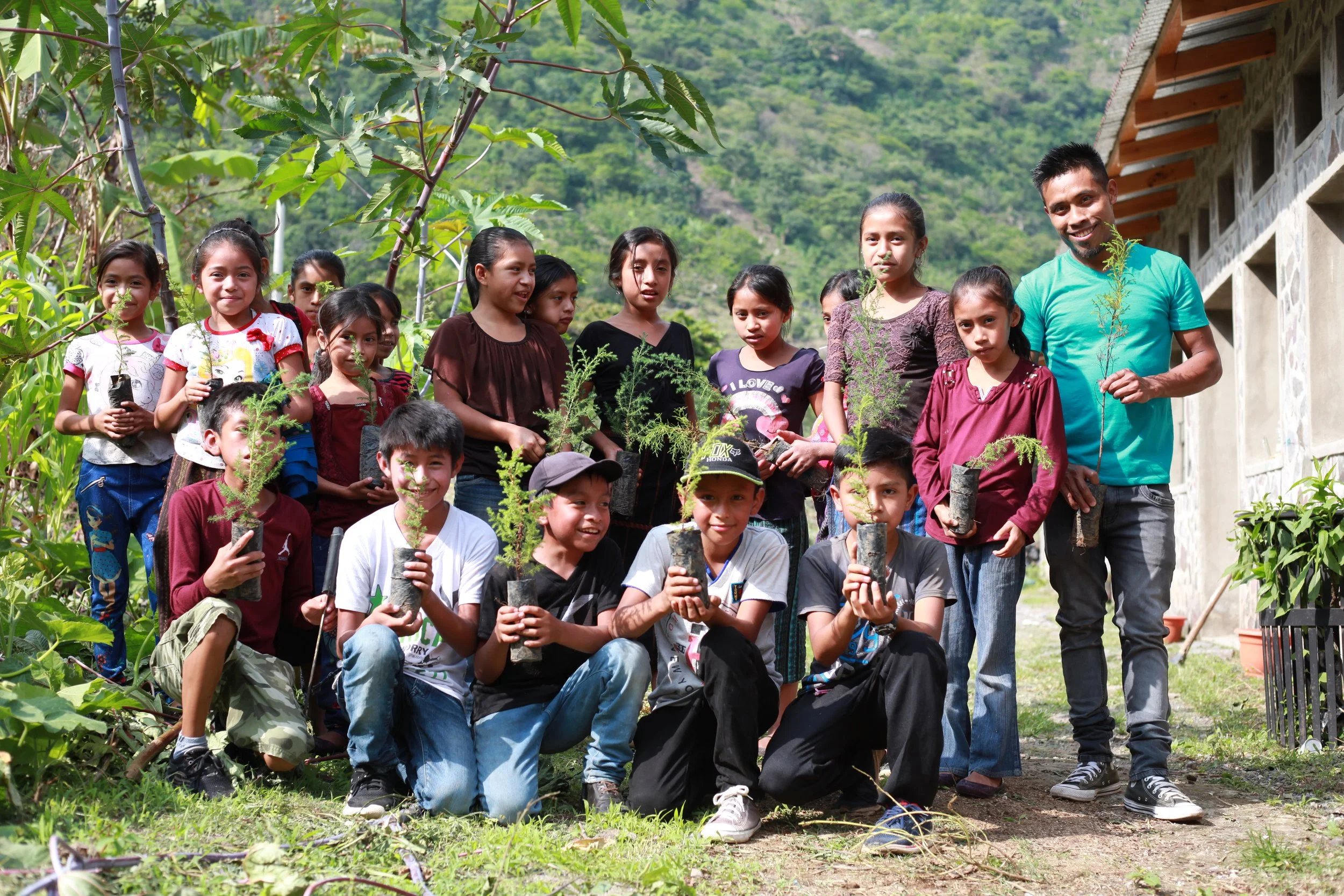 Reforestation — WELLKIND