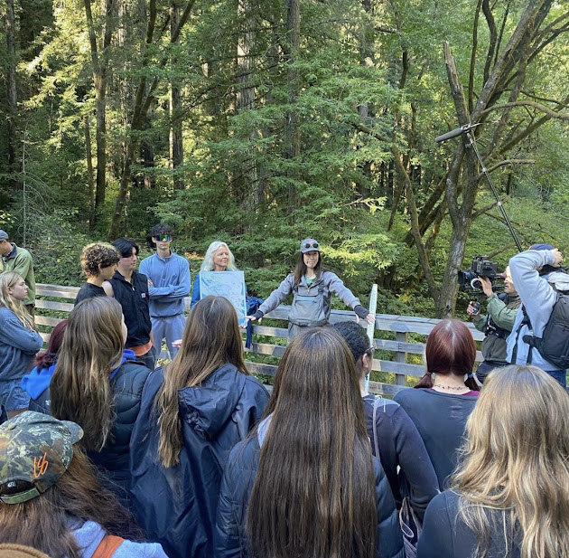 How Are Oceans and Forests Connected? The Answer May Surprise You — WELLKIND