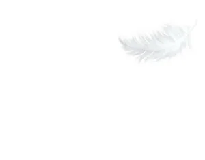 The Angel Writer | Real Angel Guidance for the Real World