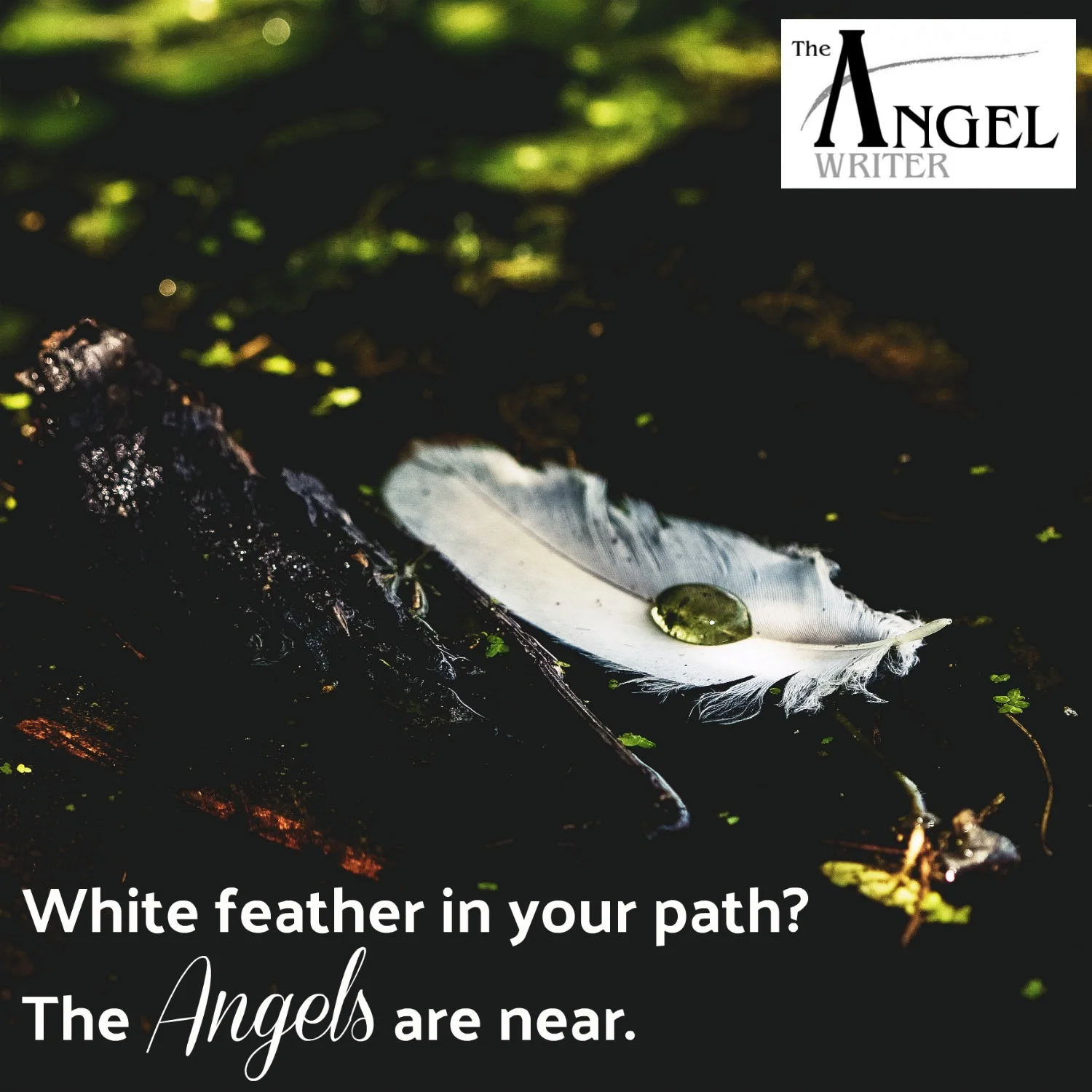 Being Visited by Angels? Here Are 14 Angel Signs that You Are! — The ...