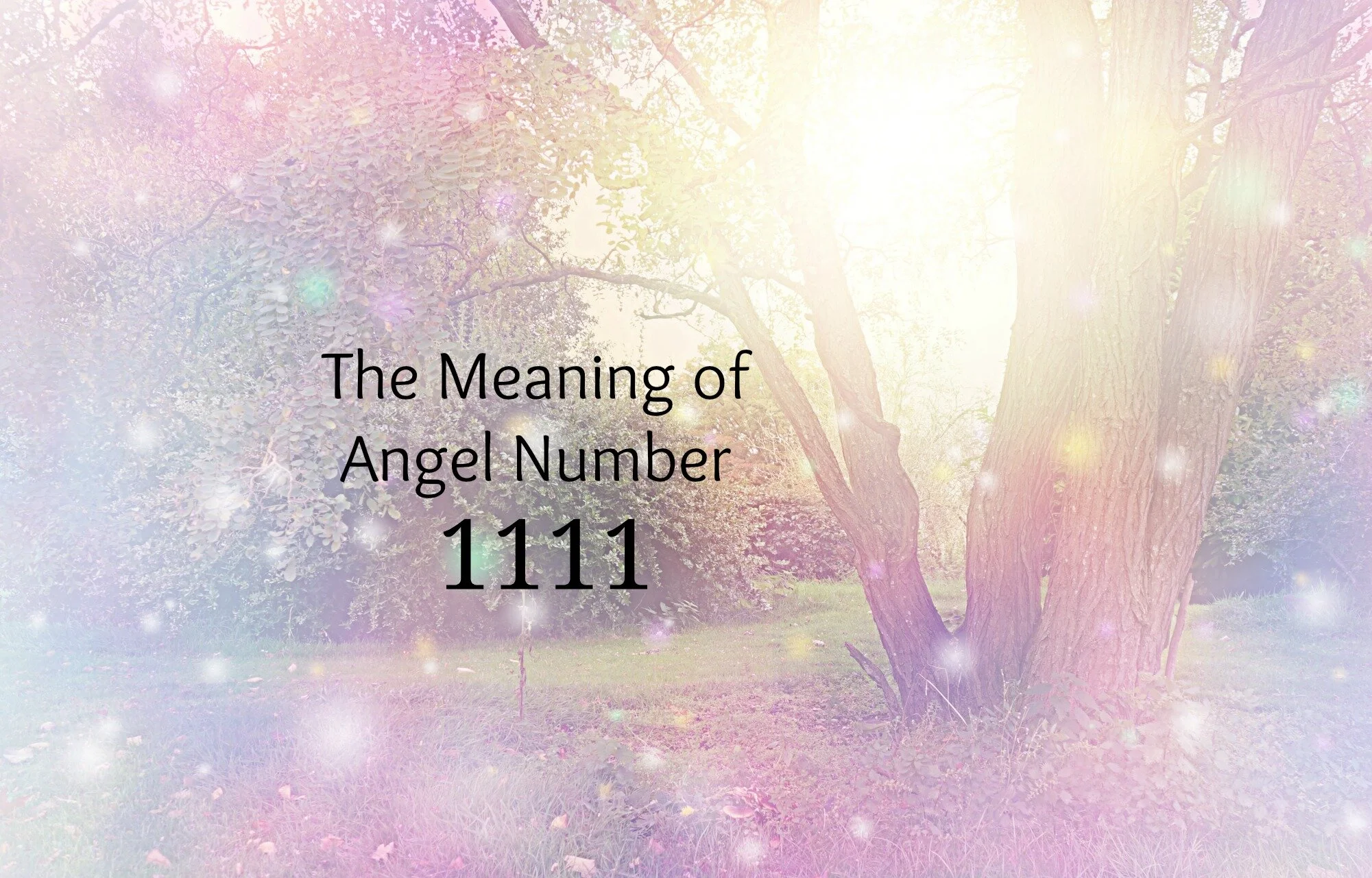 The Real Meaning of Angel Number 1111 — The Angel Writer