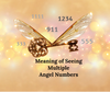 Seeing ALL the Angel Numbers? Here's What It Means — The Angel Writer