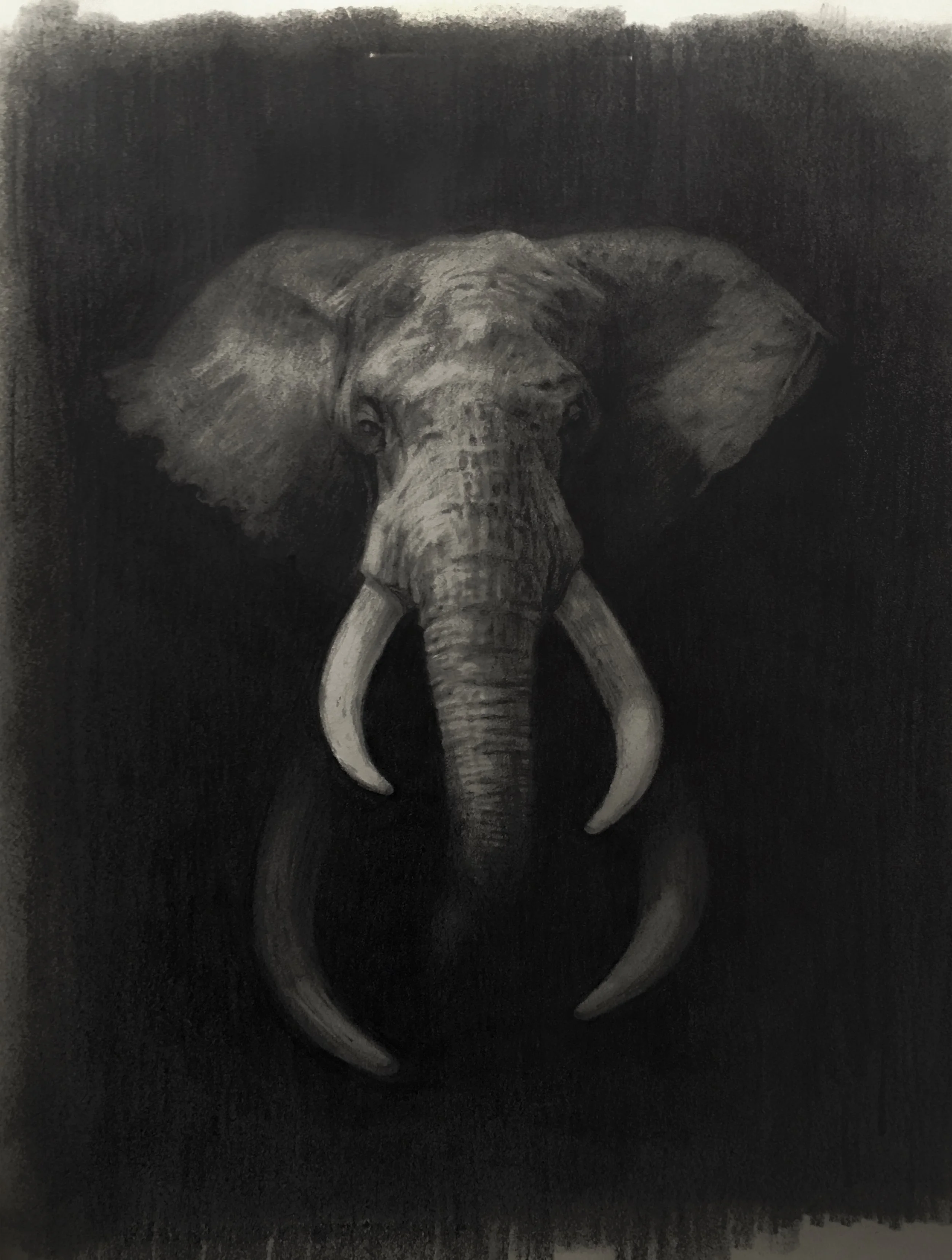 DIBUJO - SKETCH — NESTOR ALVAREZ