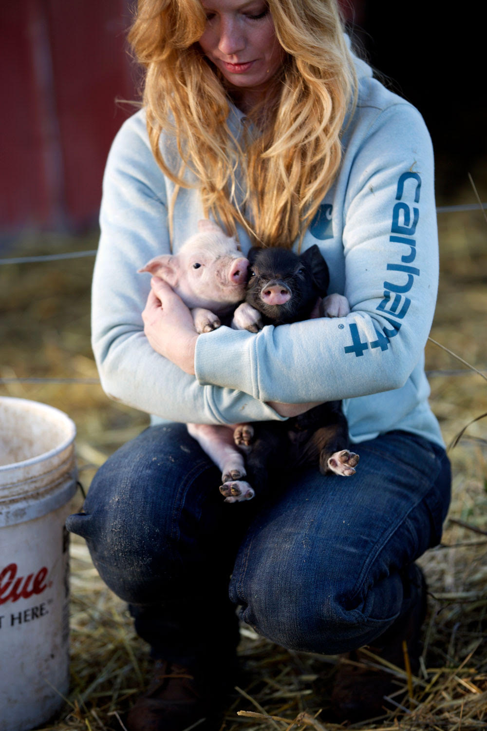 OUR STORY — Amaltheia Organic Dairy