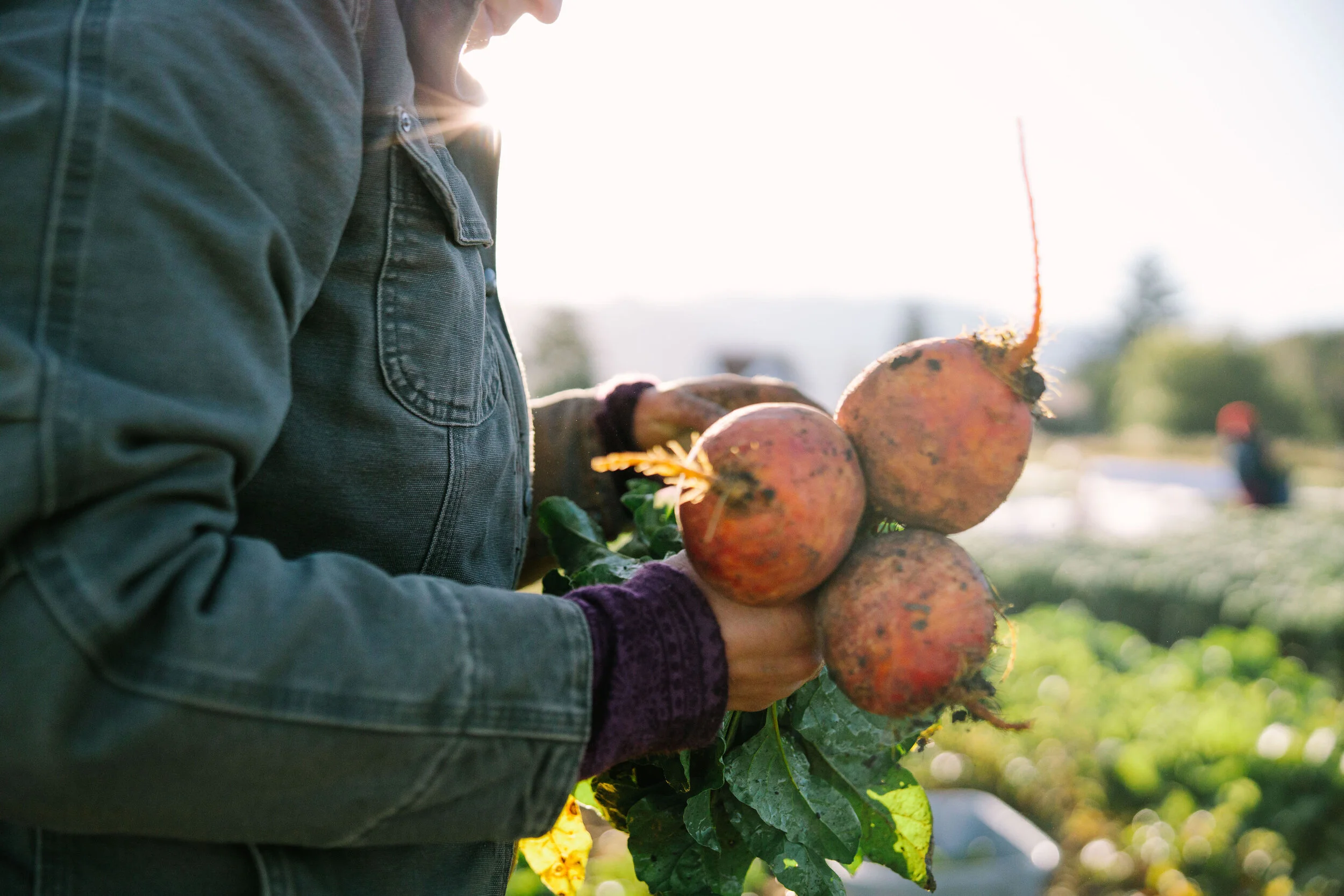 Vegetables — Amaltheia Organic Dairy