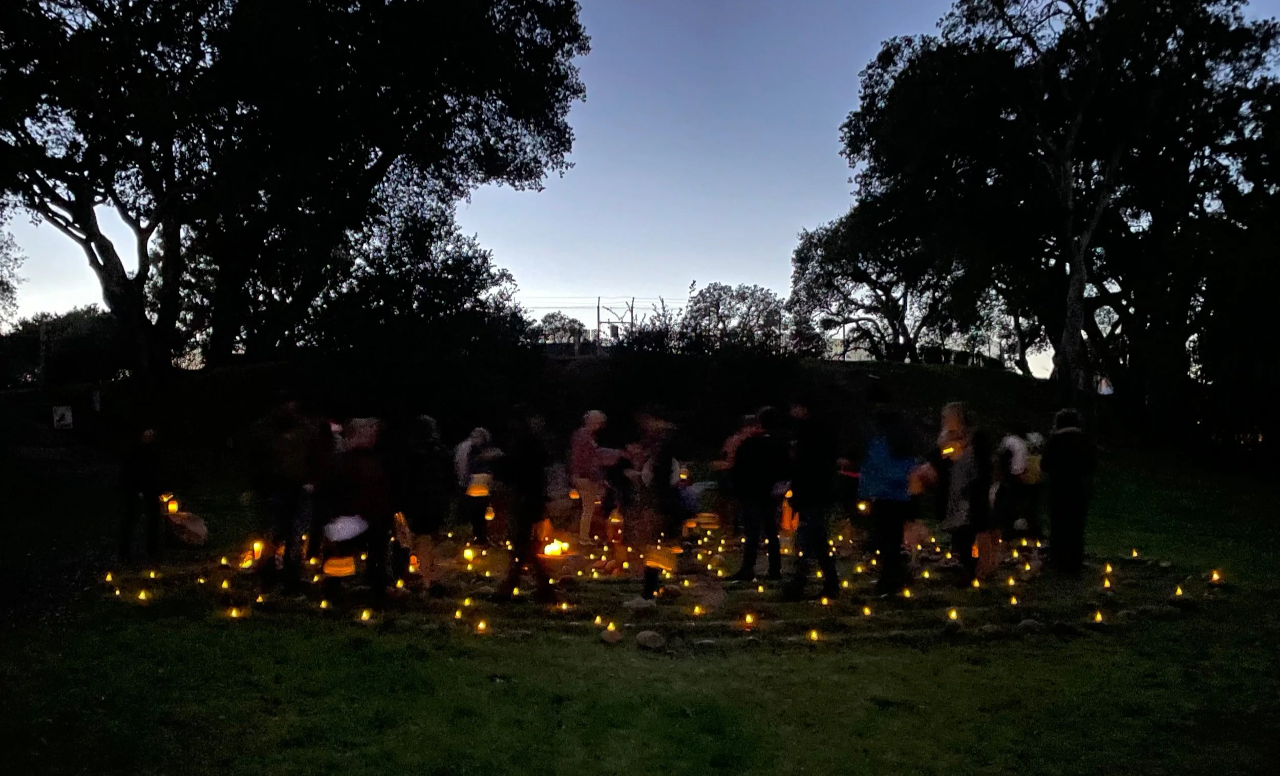 Events — Wild Church Petaluma